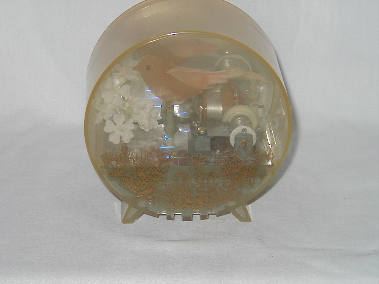 Sun(light) Driven Bird Singing and Music